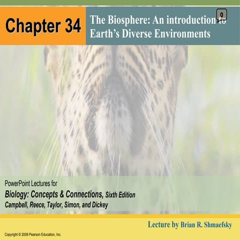 34 lecture presentation | PPT