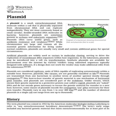 Plasmid - structure, self replication location | PDF