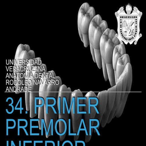 Segundo premolar superior | PPTX