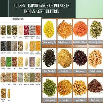 Pulse importents | PPTX