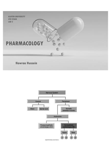 Parasympathomimetics and parasympatholytics Pharmacology. | DOCX