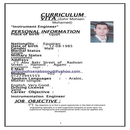 Ammar Lolah-CV | DOCX