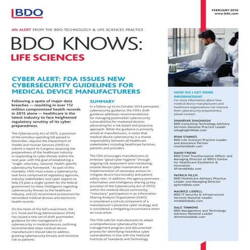 BDO Risk Factor Report