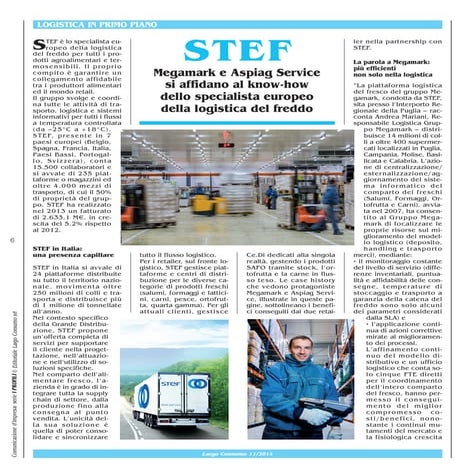 STEF_Largo Consumo | PDF | Logistics and Transportation Industry | Industries