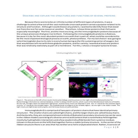 Bacterial cell division-_assembly_maintenance_and_disassembly_of_the_z ...