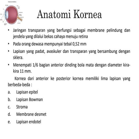 358990067-Anatomi-Kornea-pptx.pptx