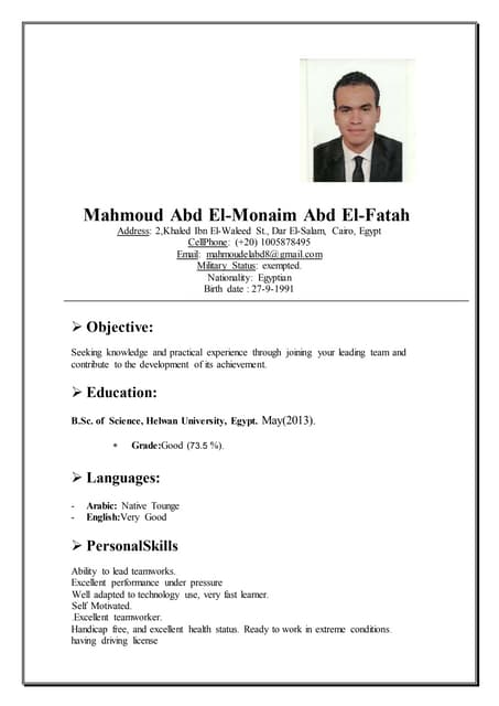 CV - Mahmoud | DOCX | Programming Languages | Computing