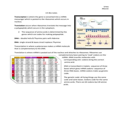 DNA Transcription And Translation | PPT