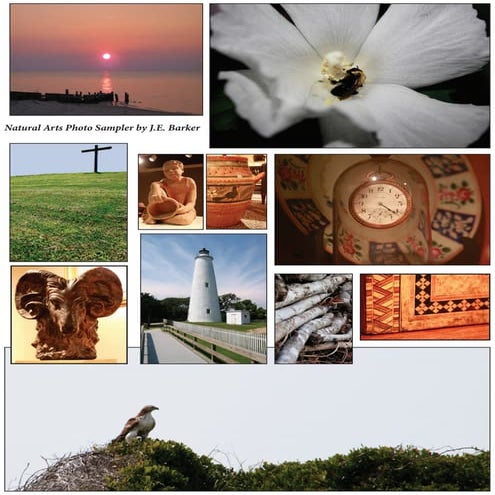 Natural Arts photo sampler | PDF