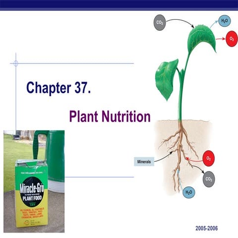 Plant nutrition | PPT