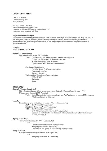 CV Ruud Huisman 2016- | PDF