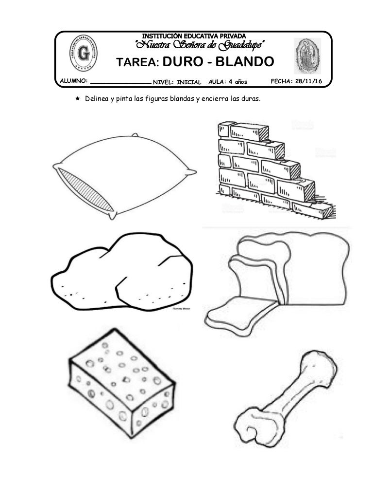 35 tarea duro blando