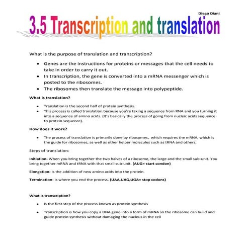 3 5 translation and transcription | DOCX