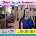 Recover Gmail Forgot Password 1-850-290-8368 by entering last known ...