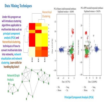 36. data mining techniques | PPT
