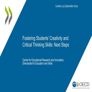 Fostering Students’ Creativity and Critical Thinking Skills: Next Steps ...