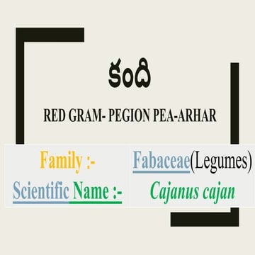 Red gram | PPTX