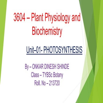 Chapter 13 photosynthesis in higher plants | PPT