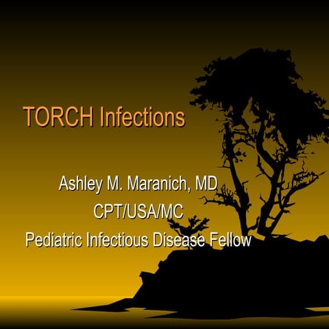 -Torch-Infection-Easier model for starters.ppt