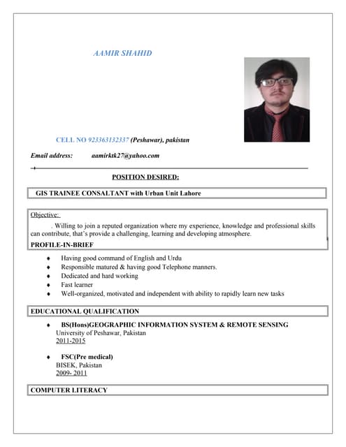 CV - English | PDF | Technology & Computing