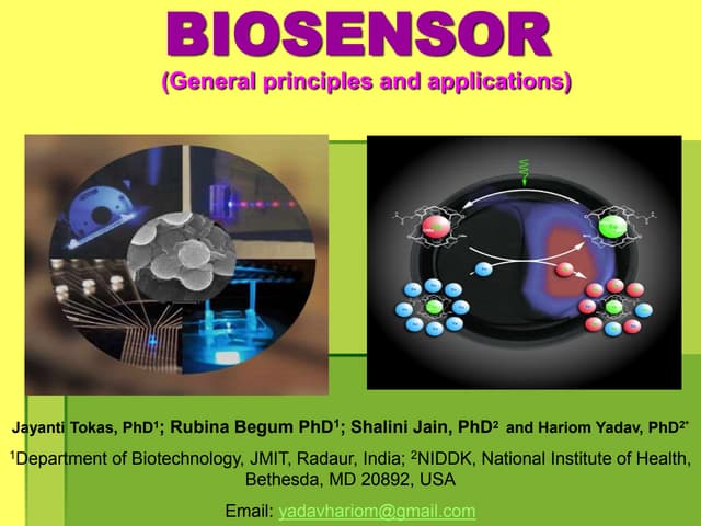 Biosensor | PDF