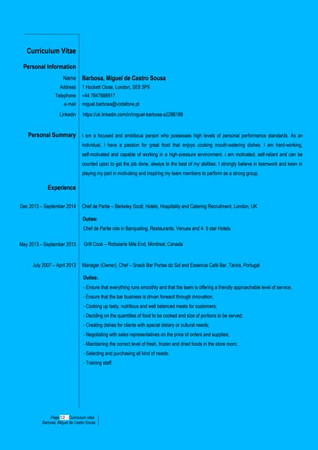 My Resume 2015 | PDF