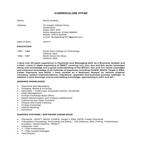 Dave Golding CV | PDF