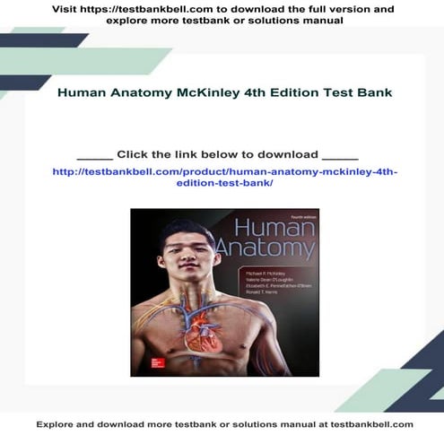 Human Anatomy McKinley 4th Edition Test Bank | PDF