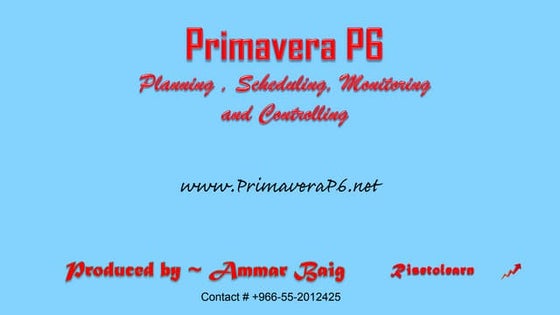 Primavera P6 Notes for Beginners | PDF