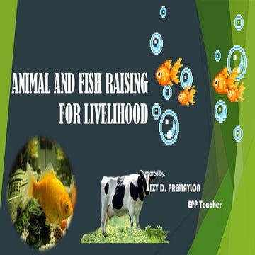 Animal raising | PPTX