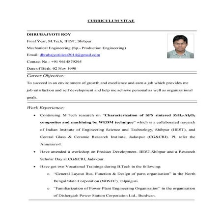 CURRICULUM VITAE_modified | PDF