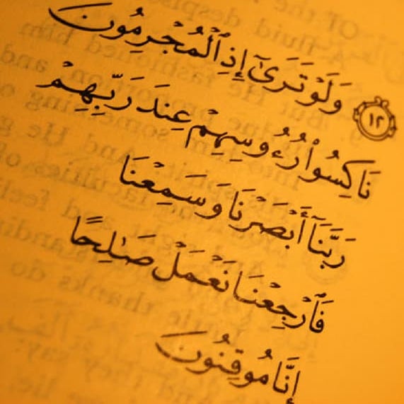 Quran, hadith & Science | PDF