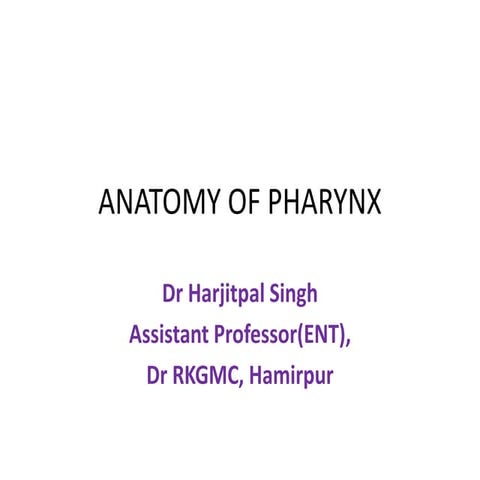 Anatomy of Pharynx | PPTX
