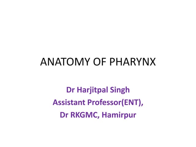 Anatomy of pharynx | PPTX