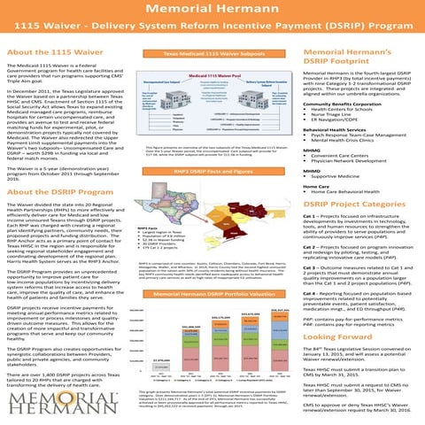 DSRIP Program Overview | PDF