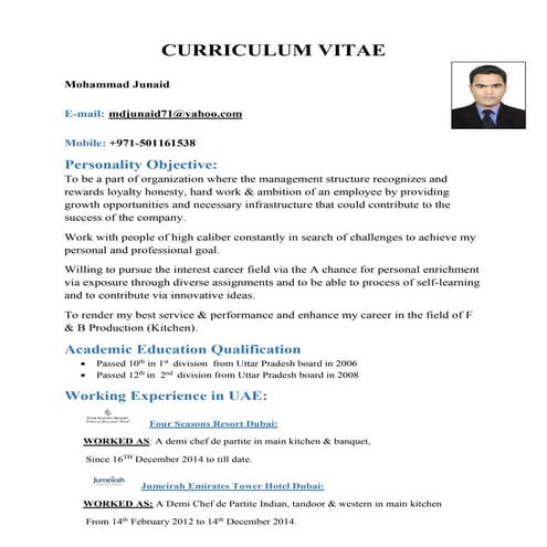 CURRICULUM VITAE JUNAID | PDF