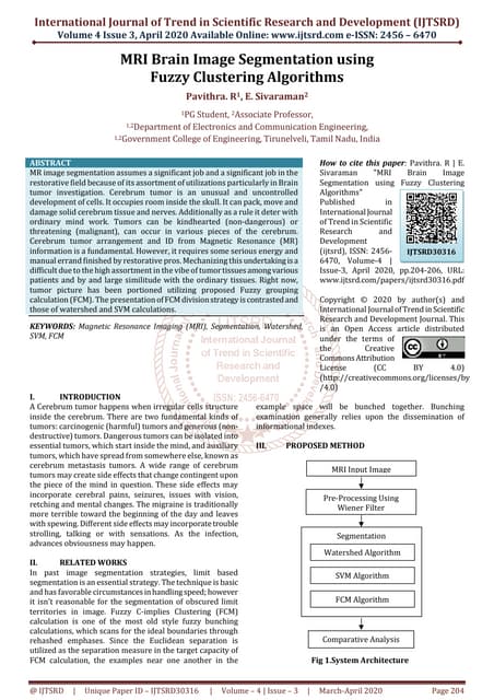Mri Brain Image Segmentation Using Fuzzy Clustering Algorithms Pdf