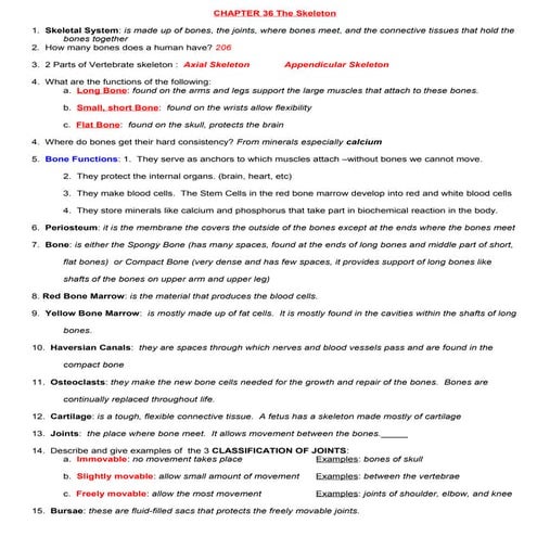 Skeletal System Notes | DOC
