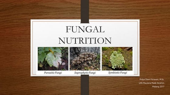 Nutrition in fungi | PPTX | Biological Sciences | Science