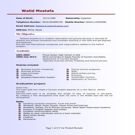 waleed cv | PDF | Air Travel | Travel Type