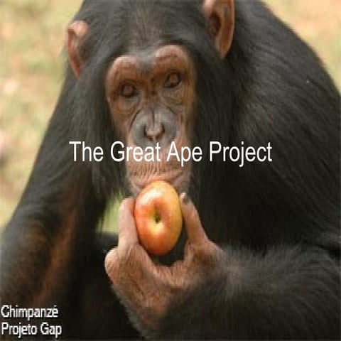 The Great Ape Project | PPT
