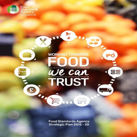 FSA strategic plan 2015-20 | PDF