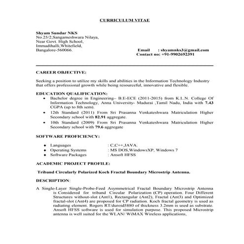 Resume(NG SHU PING) | DOC