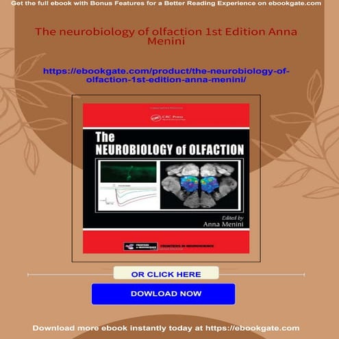 The neurobiology of olfaction 1st Edition Anna Menini | PDF