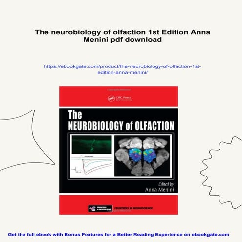 The neurobiology of olfaction 1st Edition Anna Menini | PDF