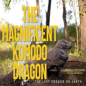 Komodo Dragon I PPT | PPTX