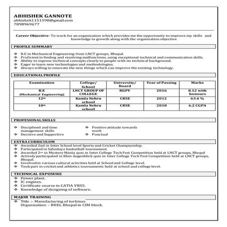 My Resume final infosys(border photo) | DOCX
