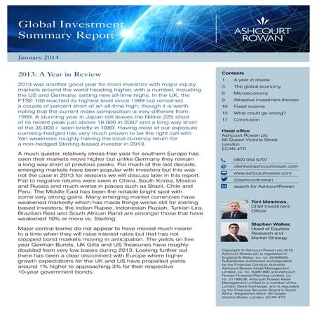 2014 Investment Strategy Report | PDF