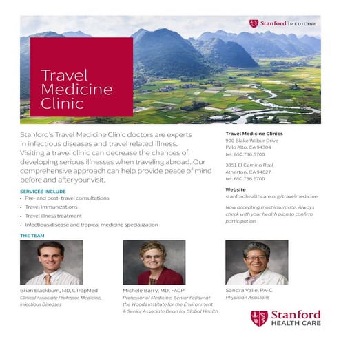 Travel Med Flyer | PDF