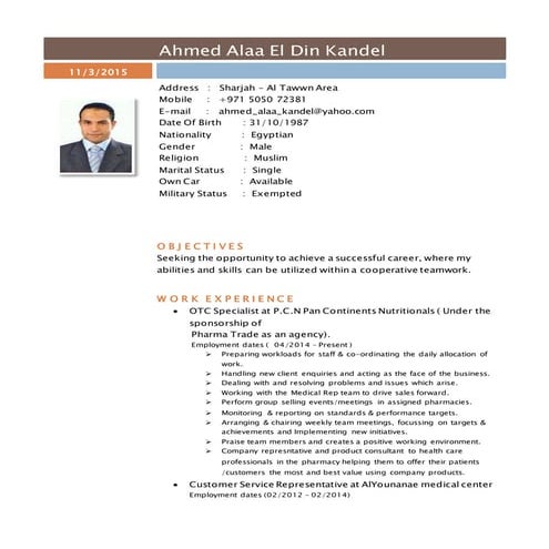 Ahmed Alaa El Din Kandel CV (edit copy ) | PDF